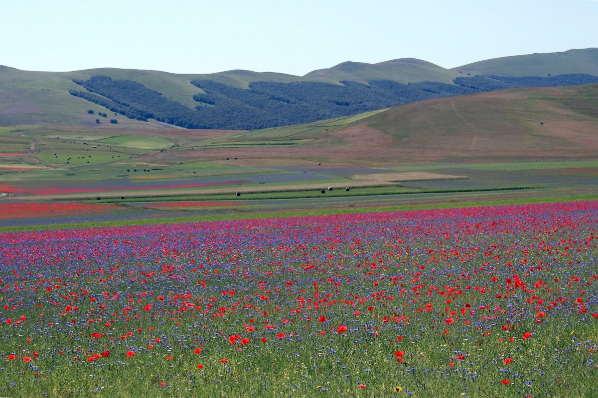 Our A to Z guide to the towns and villages of Umbria - Blog by Bookings ...